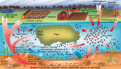 SOLIDARITY & SUSTAINABILITY V2 N4 ~ Solidarity, Sustainability ...